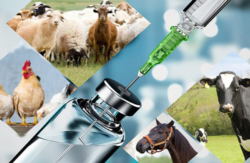 Livestock & Poultry Medicines - Apa Africa